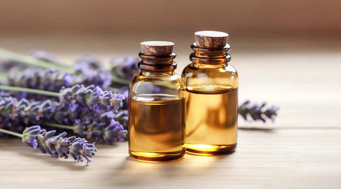 Creating Homemade Lavender Oil: A Gardener's Guide – Growing Wild Gardening