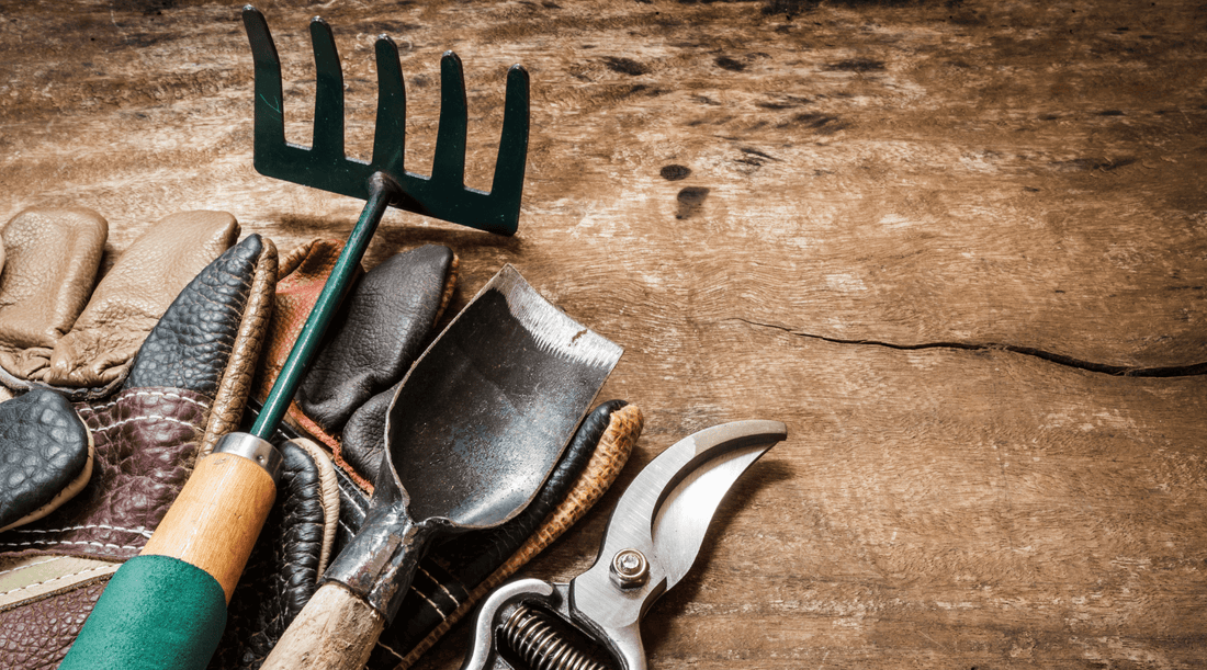 Essential Winter Garden Tools: Top 6 Must-Haves – Growing Wild Gardening