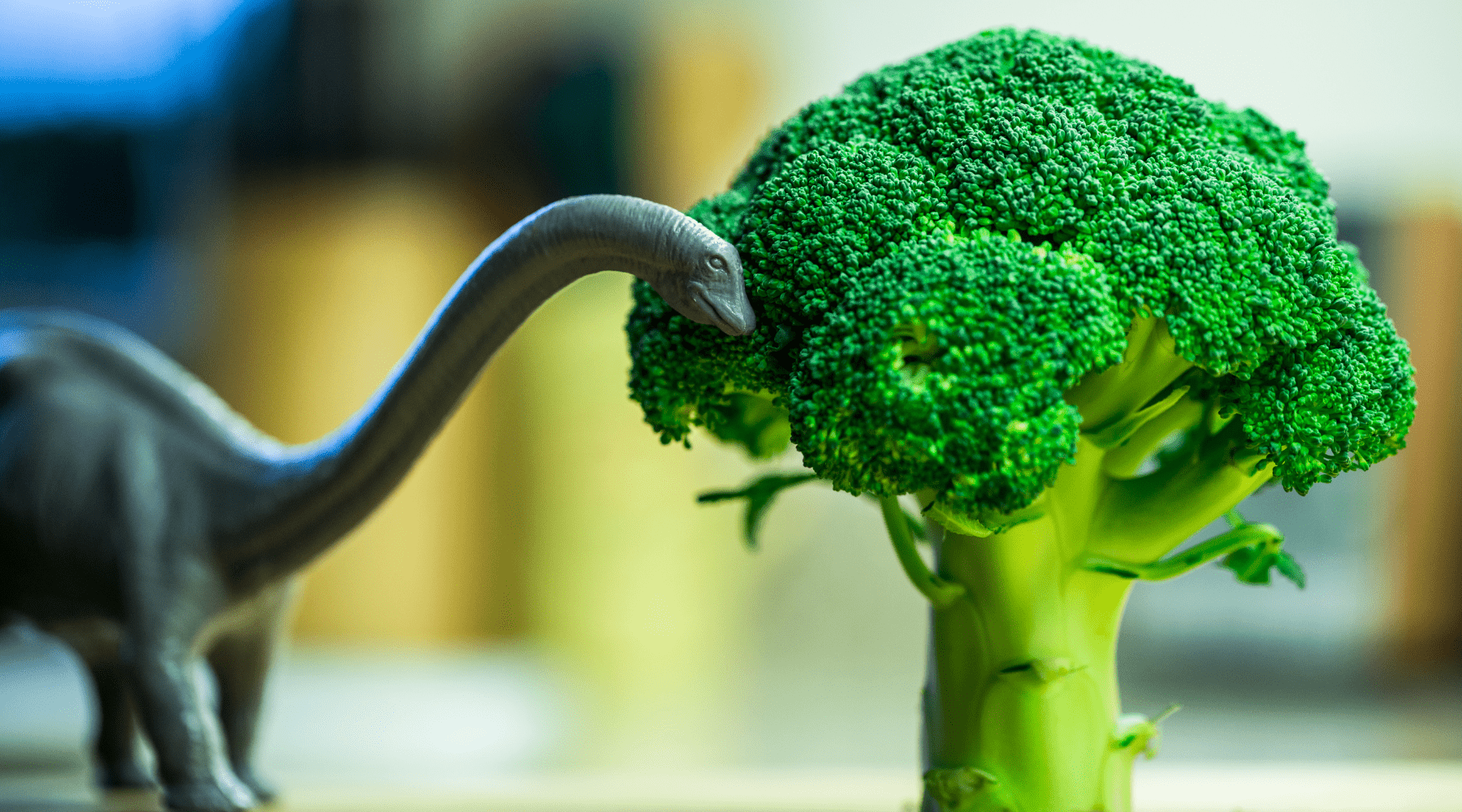 Kid-Friendly Gardening: Spark Children's Love for Growing Things ...