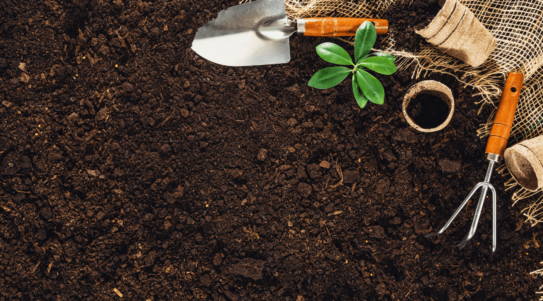 Ultimate Garden Soil Mix Guide: Boost Plant Health – Growing Wild Gardening